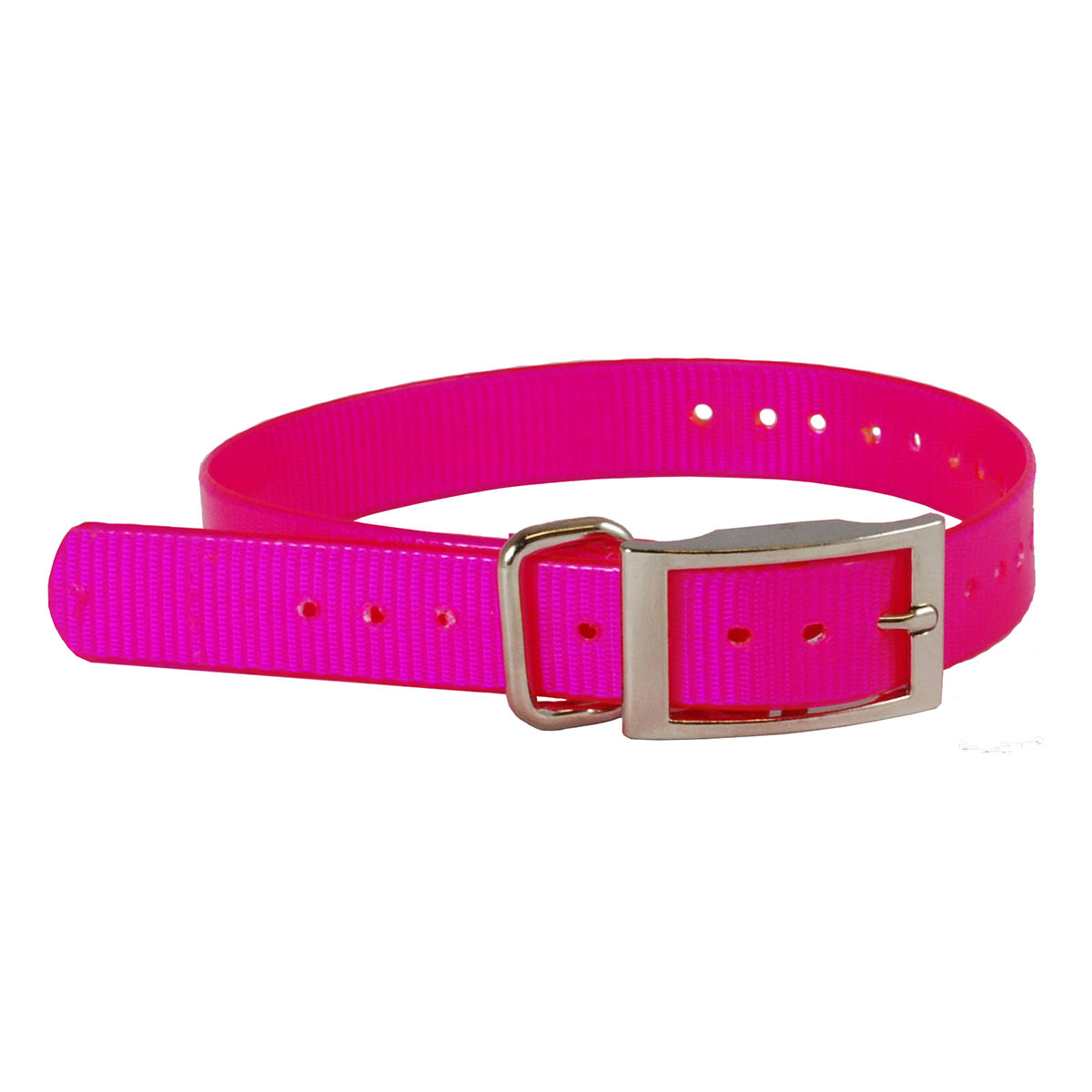The Buzzard’s Roost Replacement Collar Strap 1″ Pink 1″ x 24″ – BUZZ ...