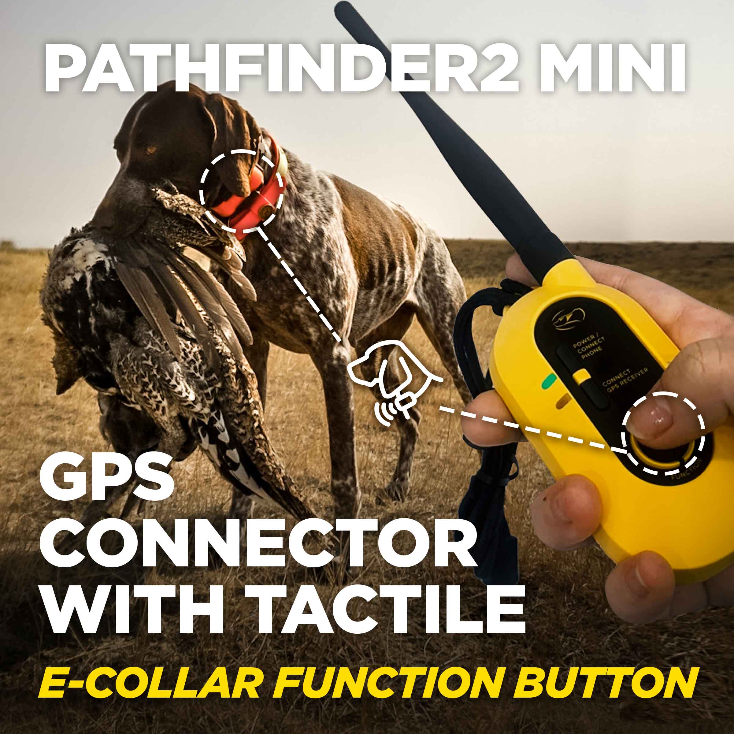 Dogtra Pathfinder2 Mini GPS E-Collar Yellow/Orange – PATHFINDER2-MINI ...