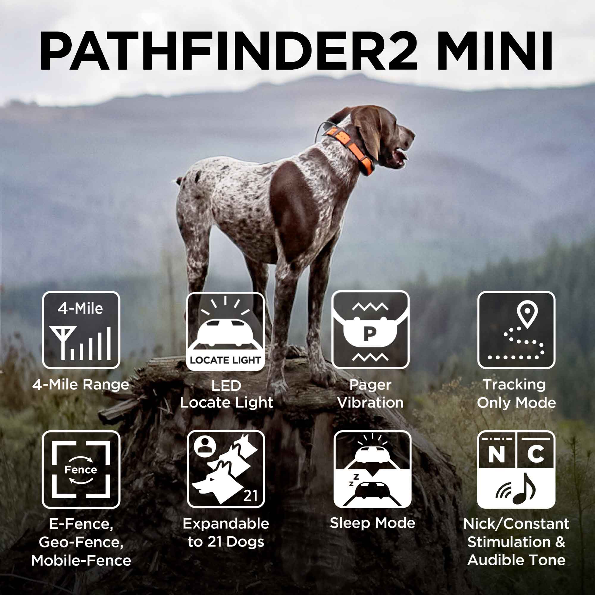 Dogtra Pathfinder2 Mini GPS E-Collar Yellow/Orange – PATHFINDER2-MINI ...