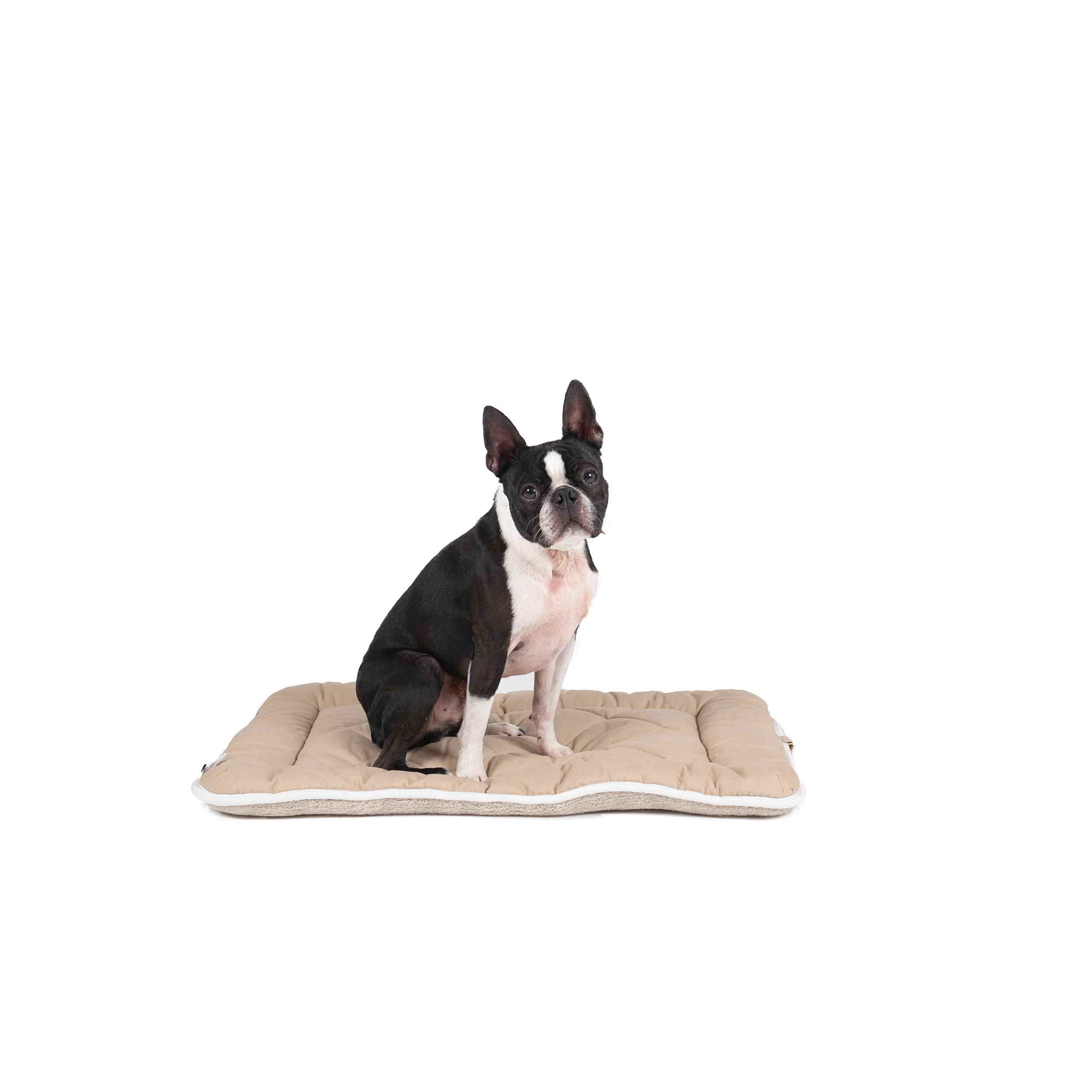 DGS Pet Products Pet Cotton Canvas Sleeper Cushion Small Sand 19″ x 24 ...
