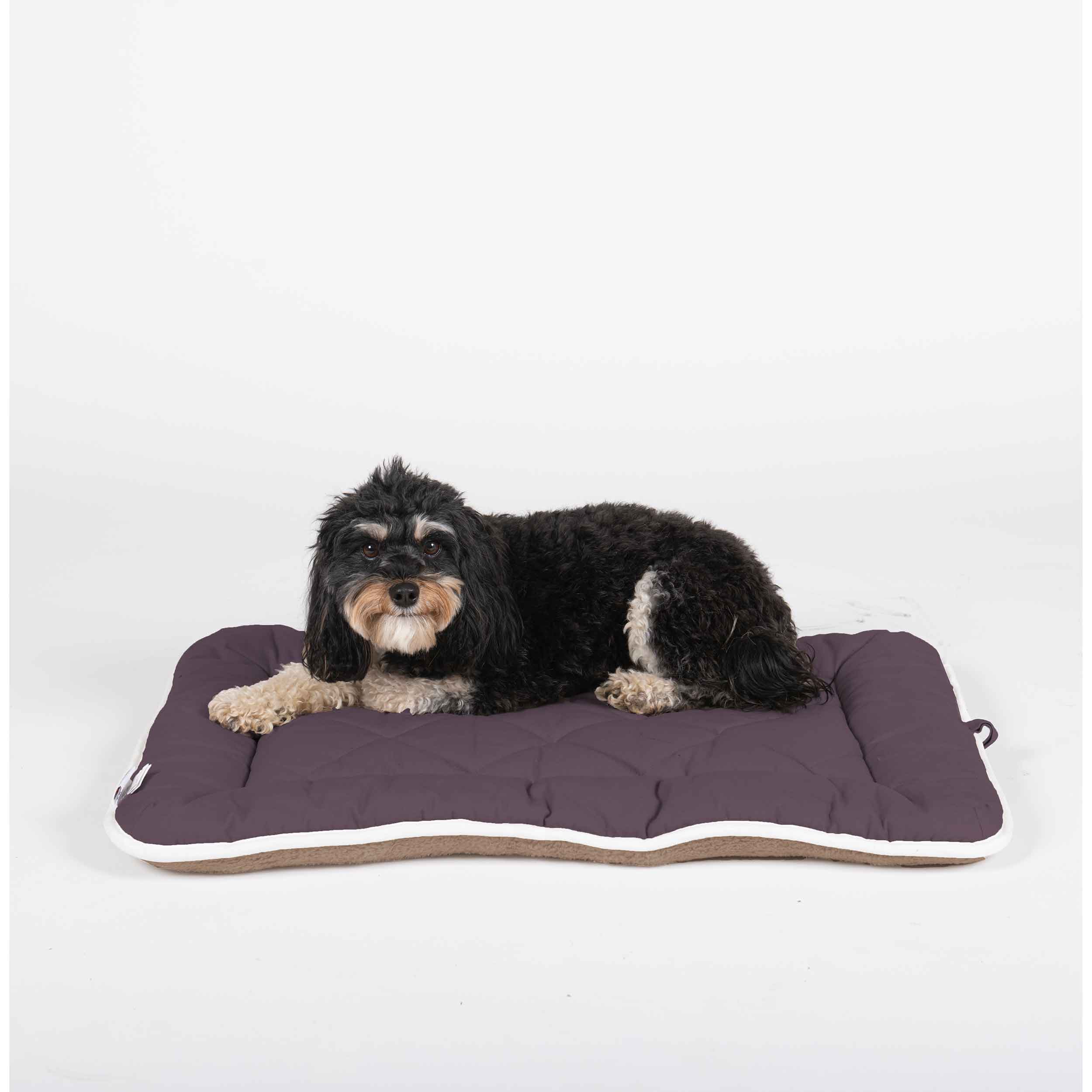 DGS Pet Products Pet Cotton Canvas Sleeper Cushion Large Pebble Grey 23 ...