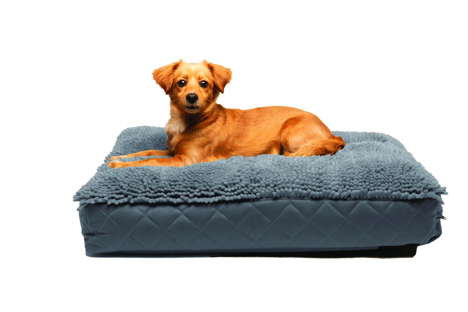 DGS Pet Products Dirty Dog Rectangle Bed Large Cool Grey 28″ x 40″ x 4 ...