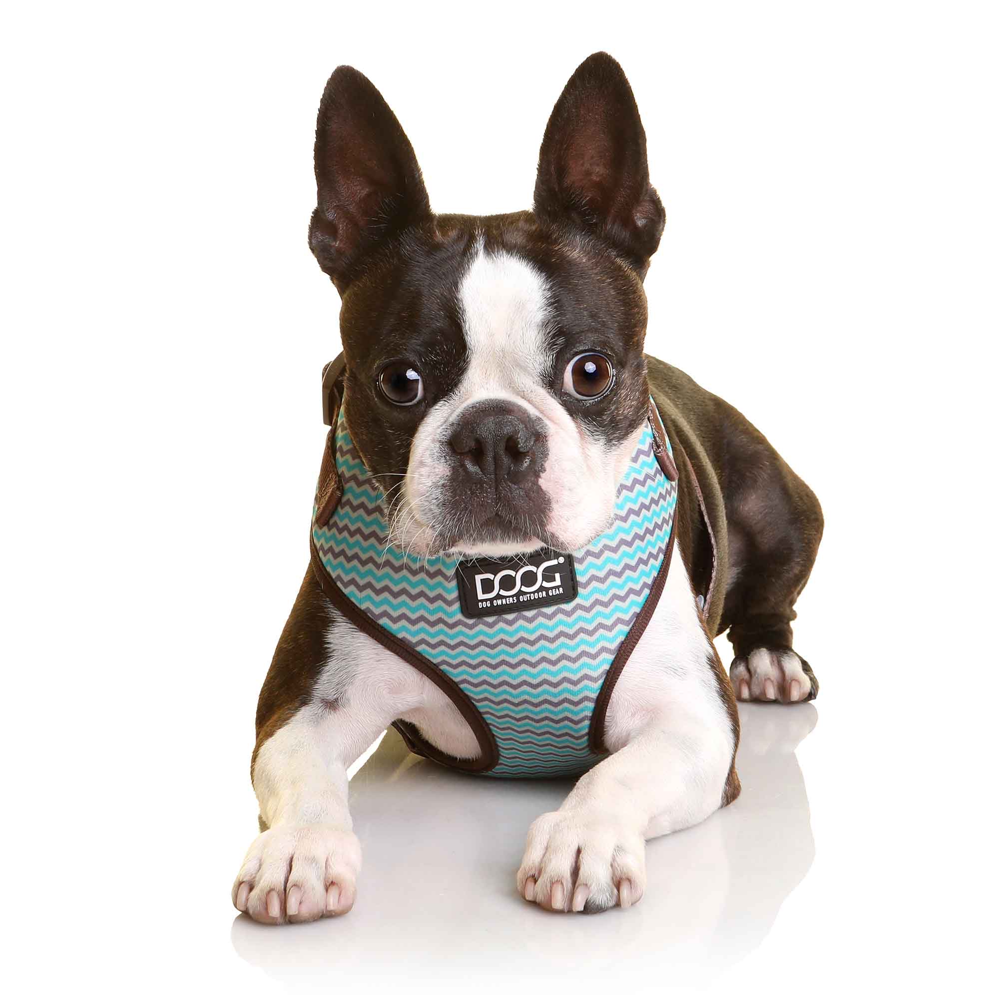 DOOG Neoflex Dog Harness Benji Small Blue/Grey – HARBBZSOFT-S – Pet ...